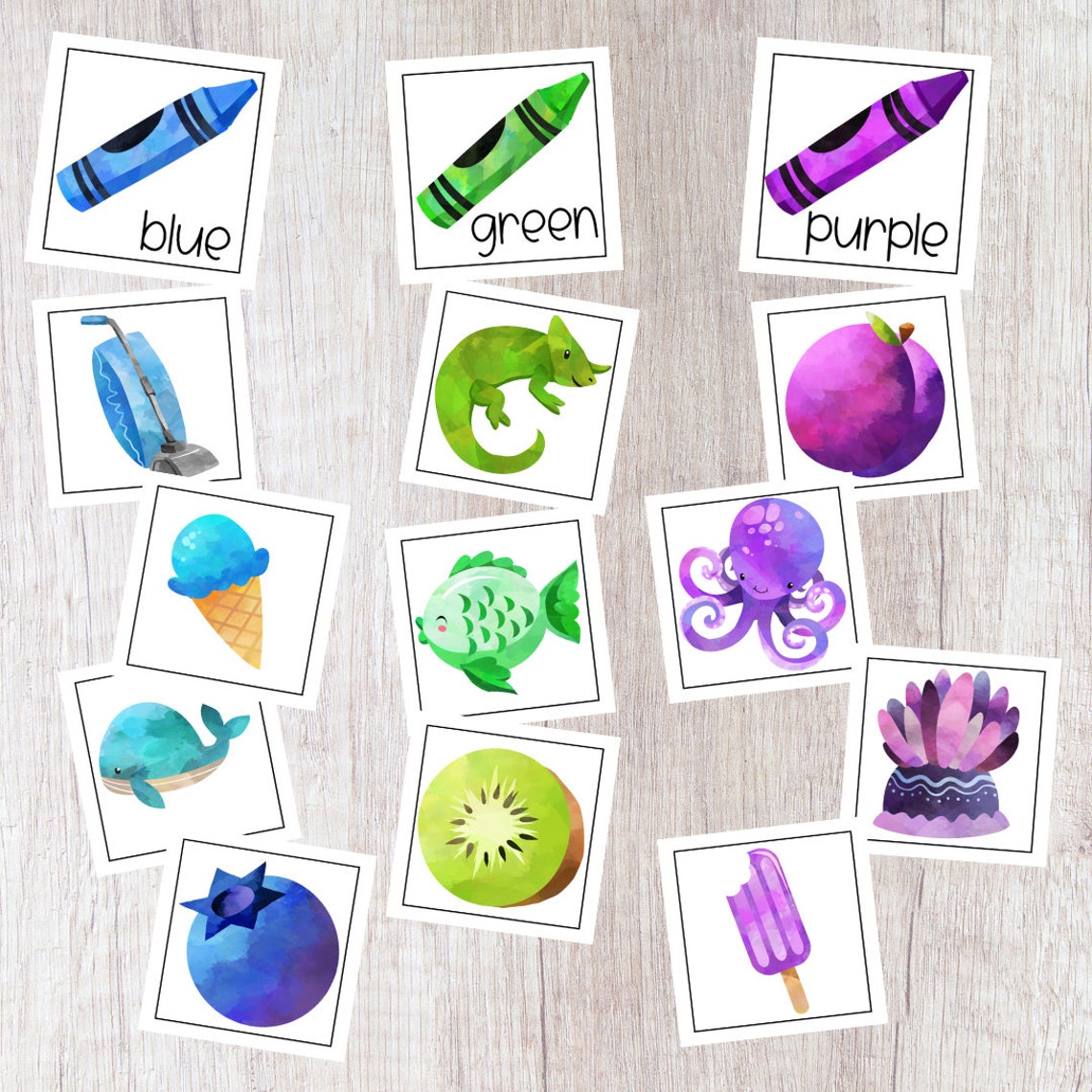 Color Sorting Cards Preschool Worksheet Preschool Printable - Etsy