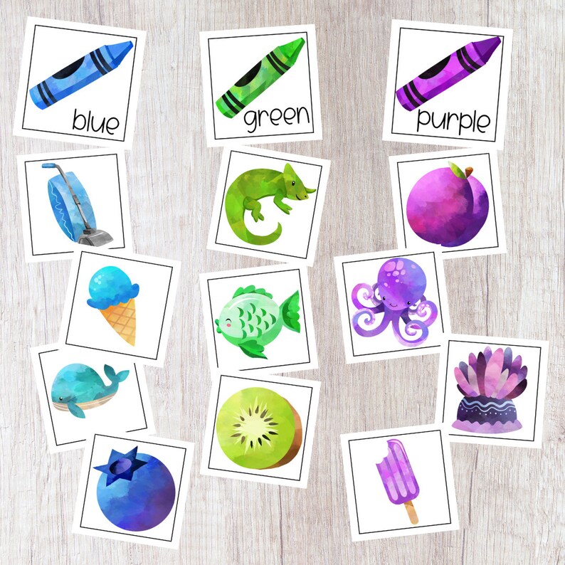 Color Sorting Cards Preschool Worksheet Preschool Printable - Etsy