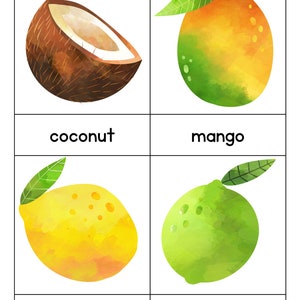 Montessori 3 Part Fruit Cards, Preschool Printable, Flashcards ...