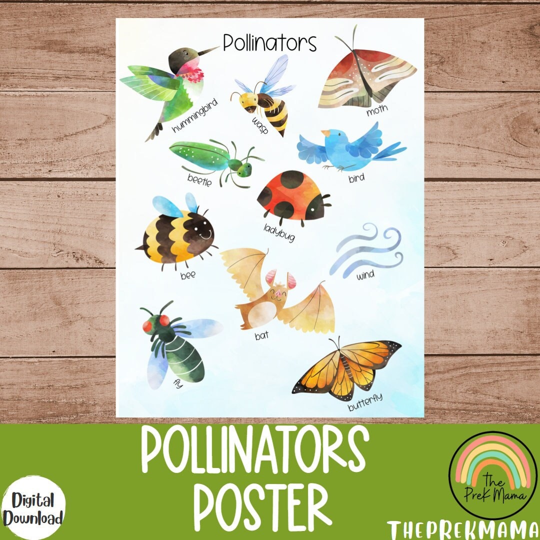 Pollinators Poster, Preschool Curriculum, Preschool Printable ...