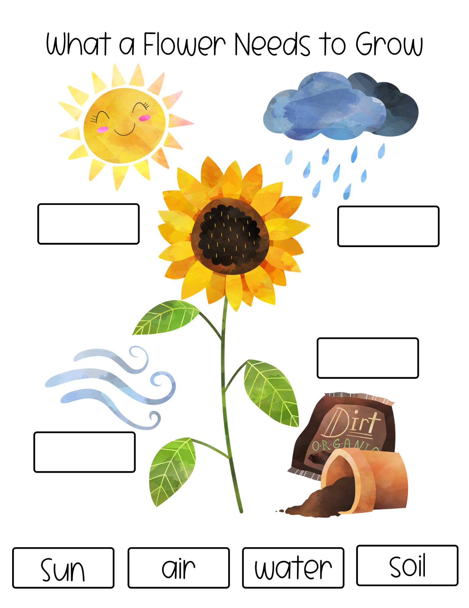 What a Flower Needs to Grow Preschool Curriculum Preschool | Etsy