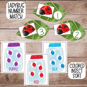 Insect Unit Study, Preschool Curriculum, Preschool Printable, Preschool ...