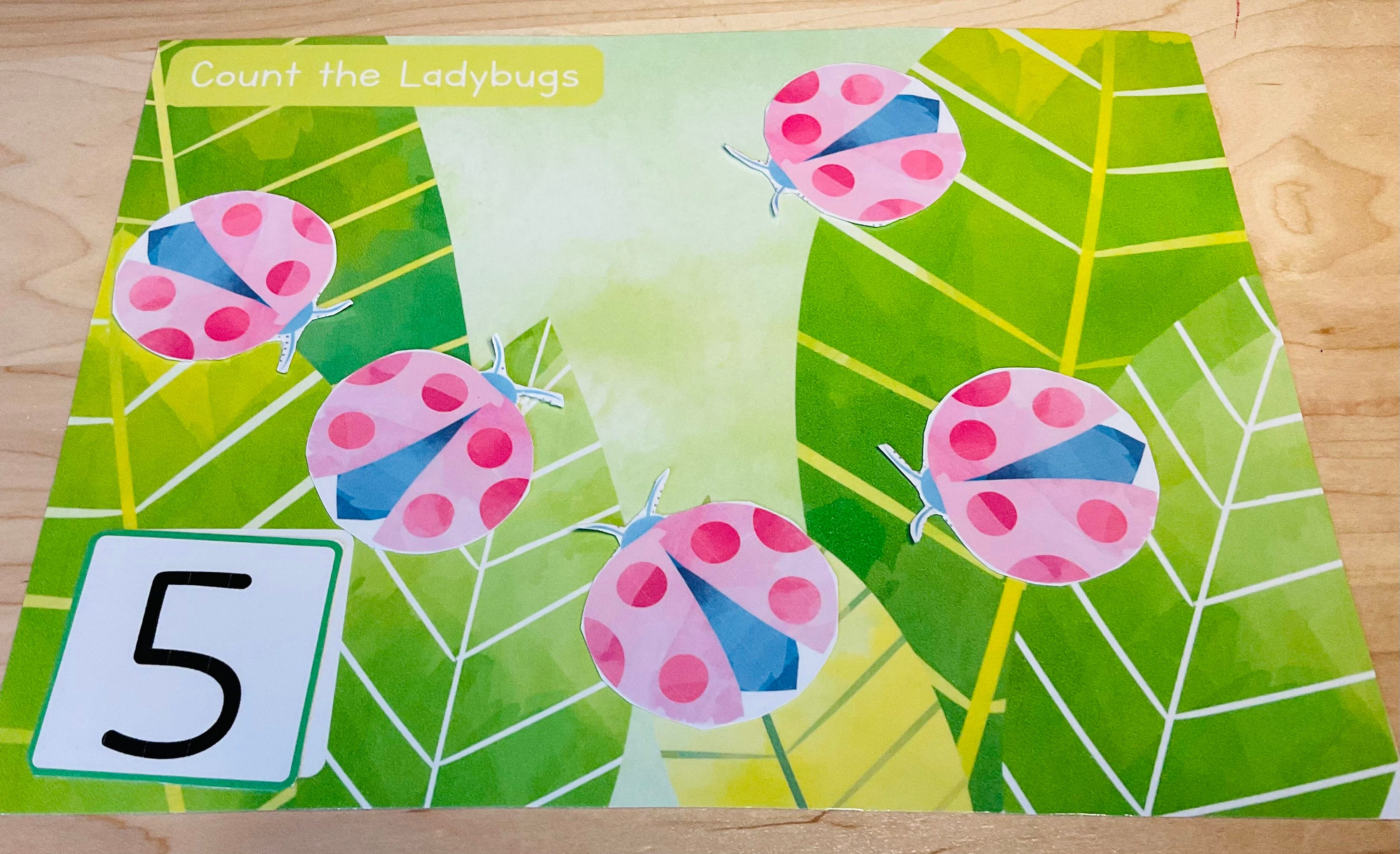 Lady Bug Ten Frame Numbers 1-10 Count and Match Montessori - Etsy