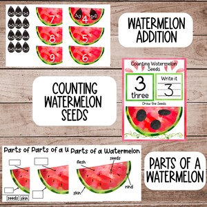 Watermelon Unit Study, Preschool Curriculum, Preschool Printable ...