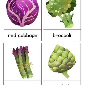 Montessori 3 Part Vegetable Cards, Preschool Printable, Flashcards ...
