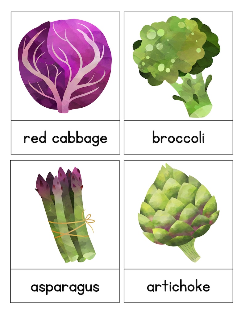 Montessori 3 Part Vegetable Cards, Preschool Printable, Flashcards ...