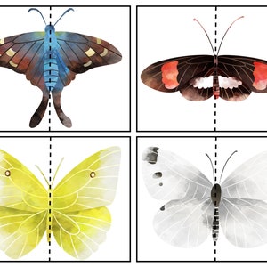 Butterfly Match, Preschool Printable, Preschool Game , Kindergarten ...