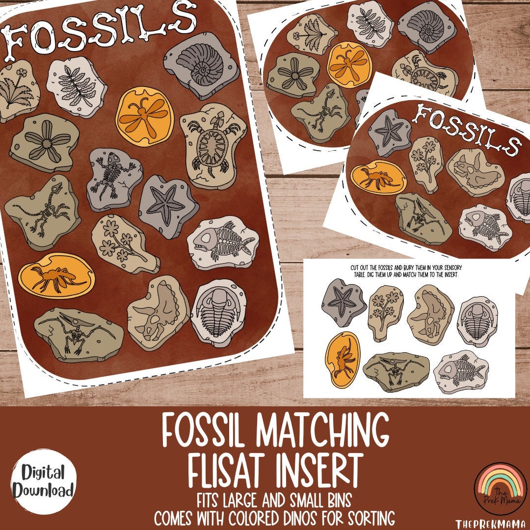 Fossil Matching Flisat Inserts, Flisat Table, Flisat Insert Printable ...