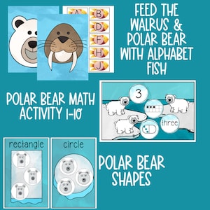 Arctic Animals Unit Study, Homeschool Learning Materials, Educational ...