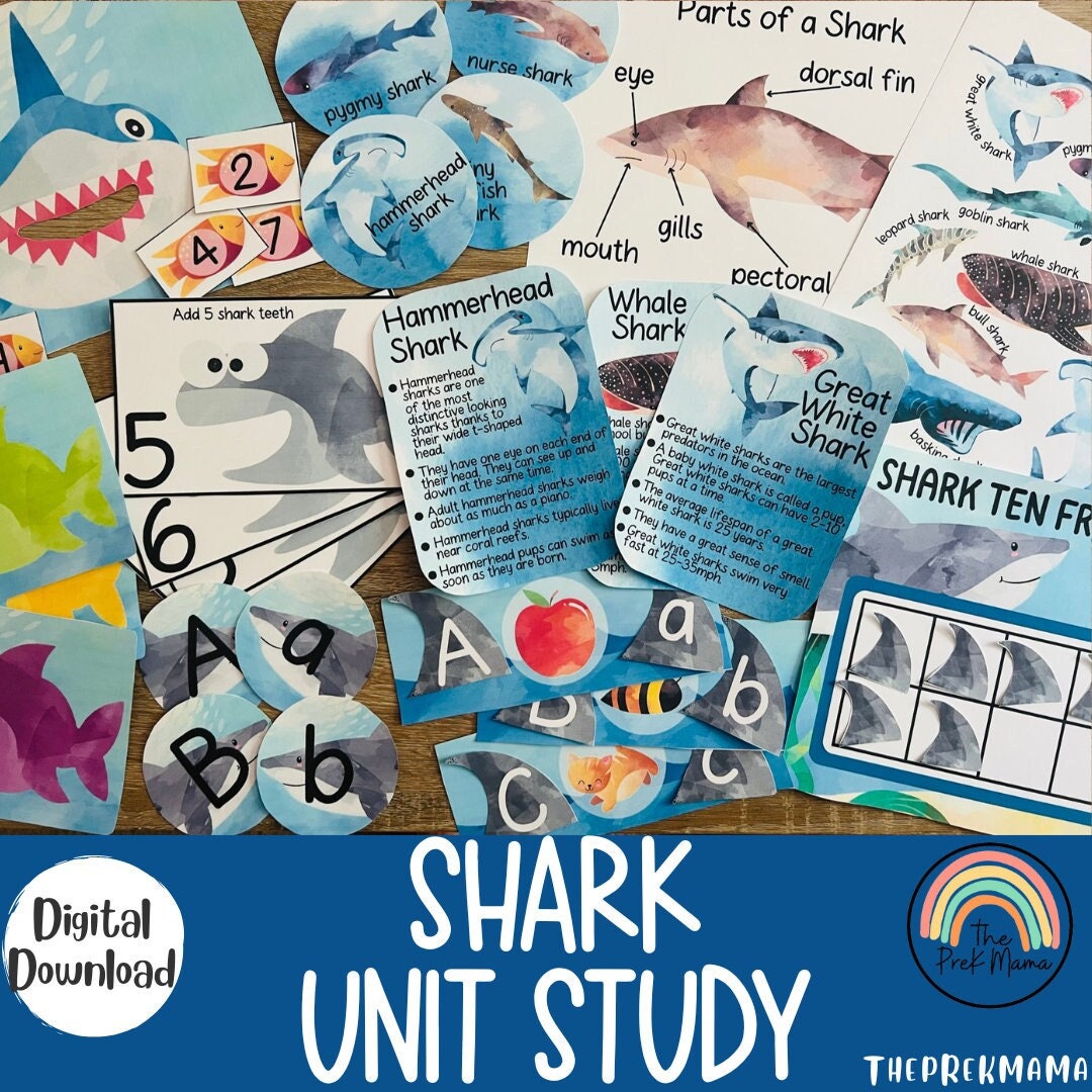 Shark Unit Study, Preschool Curriculum, Preschool Printable, Preschool ...