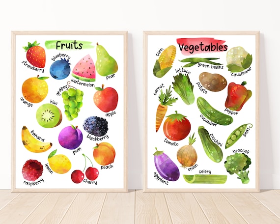 Fruit And Vegetables Drawing Poster