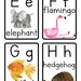 Animal Alphabet Flash Cards Alphabet Watercolor Flashcards - Etsy