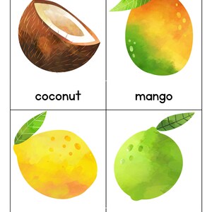 Montessori 3 Part Fruit Cards Preschool Printable - Etsy