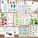 Insect Unit Study, Preschool Curriculum, Preschool Printable, Preschool ...