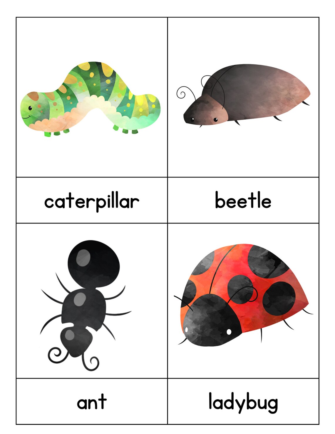 Montessori 3 Part Bug Cards Preschool Printable Flashcard - Etsy