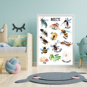 Insect Poster, Educational Poster, Weather Posters, Classroom Décor ...