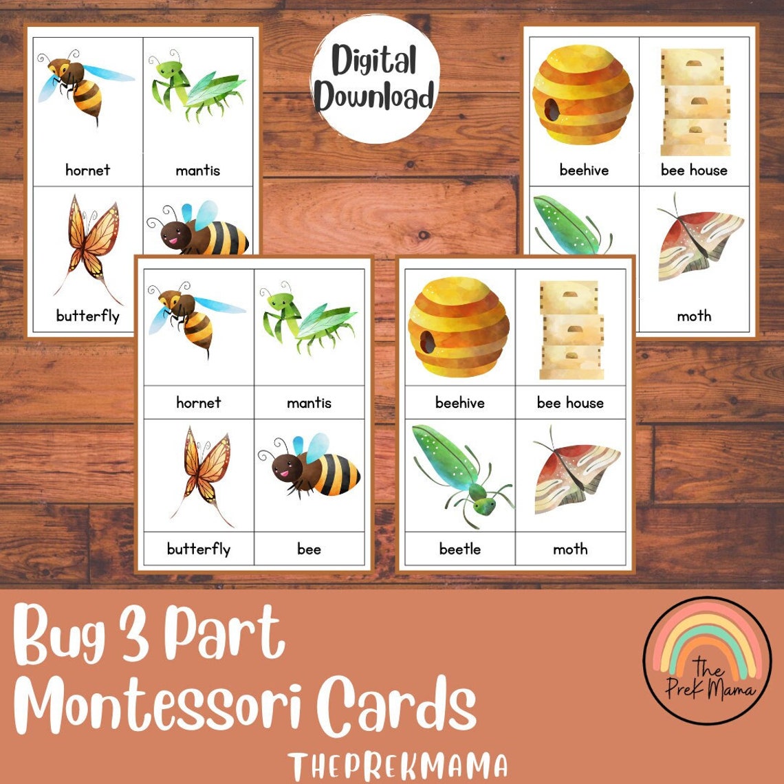 Montessori 3 Part Bug Cards Preschool Printable Flashcard - Etsy