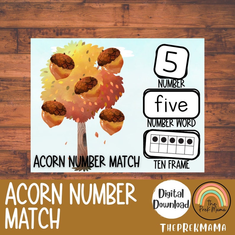 Acorn Number Match Montessori Materials Homeschool - Etsy