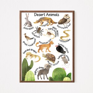 Desert Animal Poster, Educational Poster, Weather Posters, Classroom ...