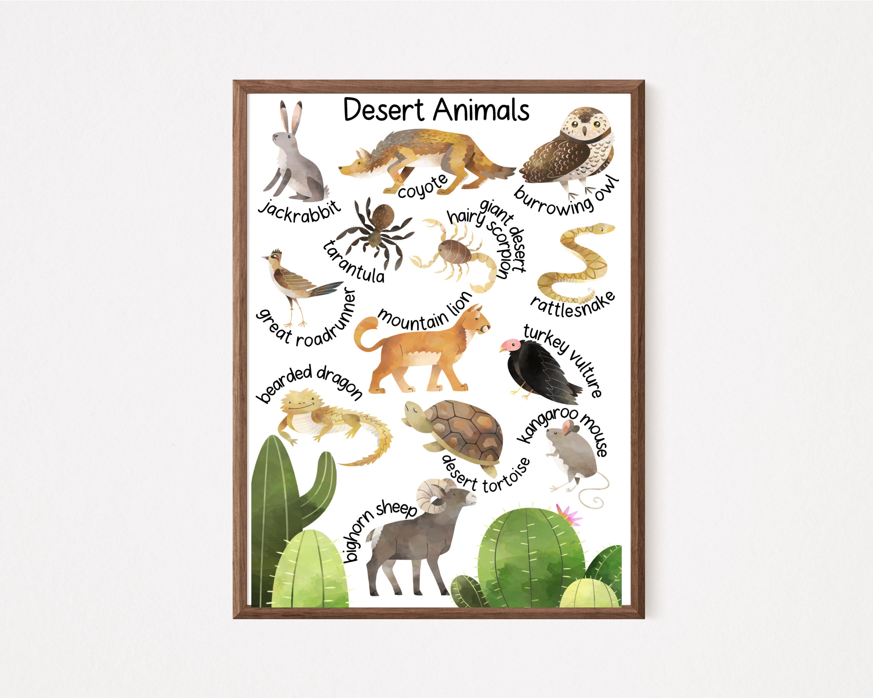 Desert Animals For Kids