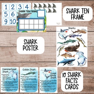 Shark Unit Study, Preschool Curriculum, Preschool Printable, Preschool ...