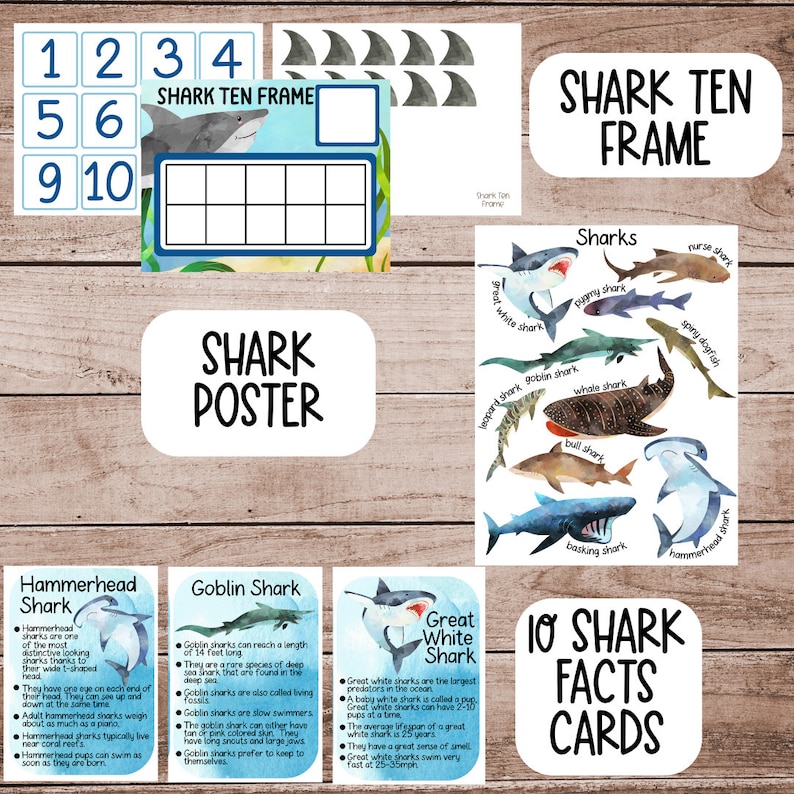 Shark Unit Study, Preschool Curriculum, Preschool Printable, Preschool ...