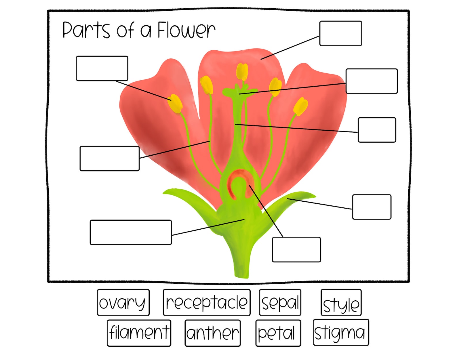 Parts of a Flower Preschool Curriculum Preschool Printable - Etsy