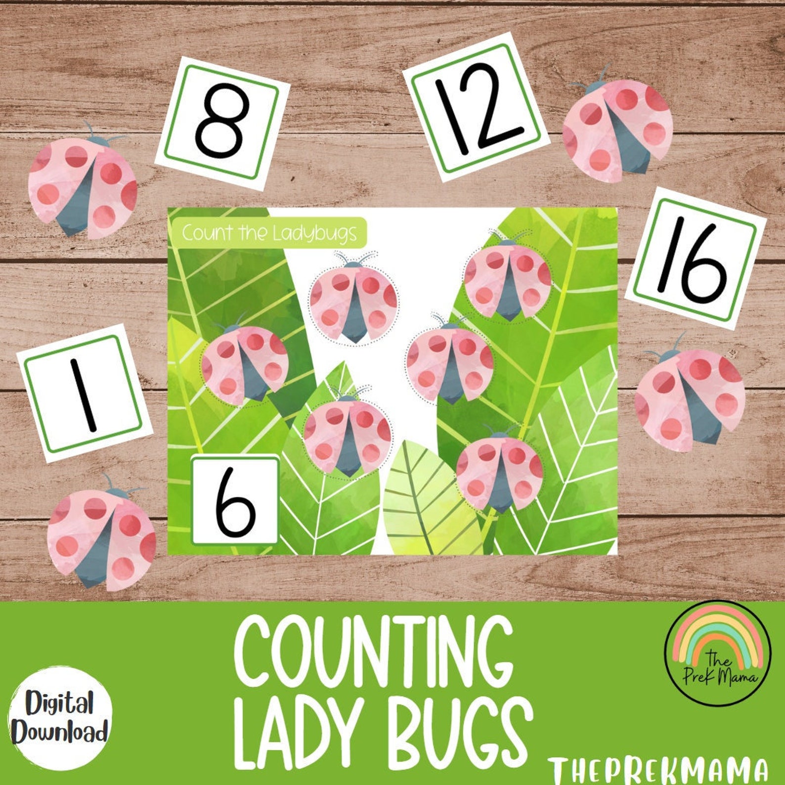 Counting Lady Bugs Activity Preschool Worksheets Preschool - Etsy