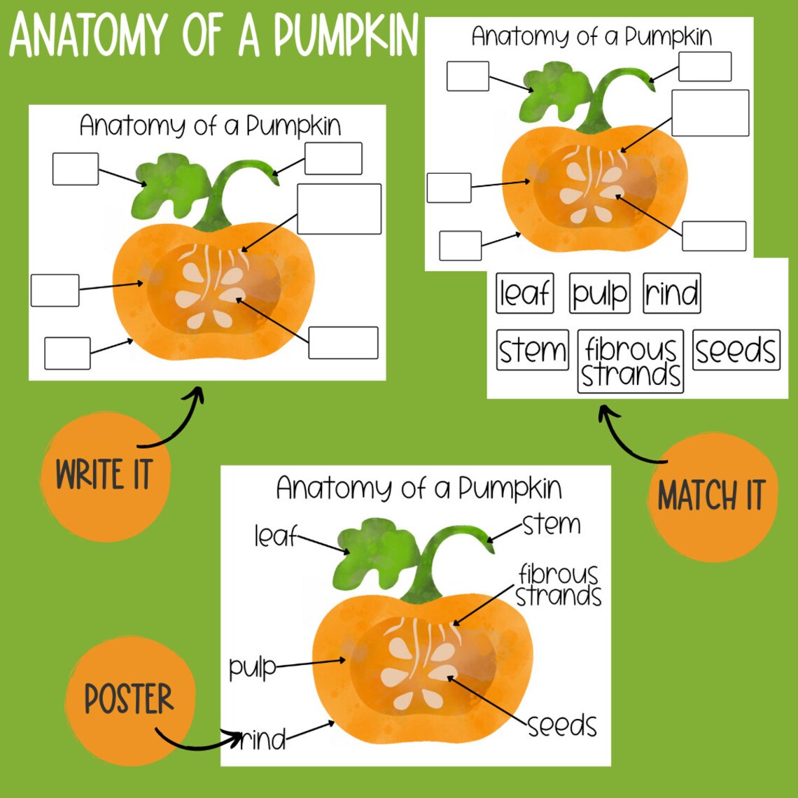 Pumpkin Unit Study Homeschool Learning Materials Educational Activities ...