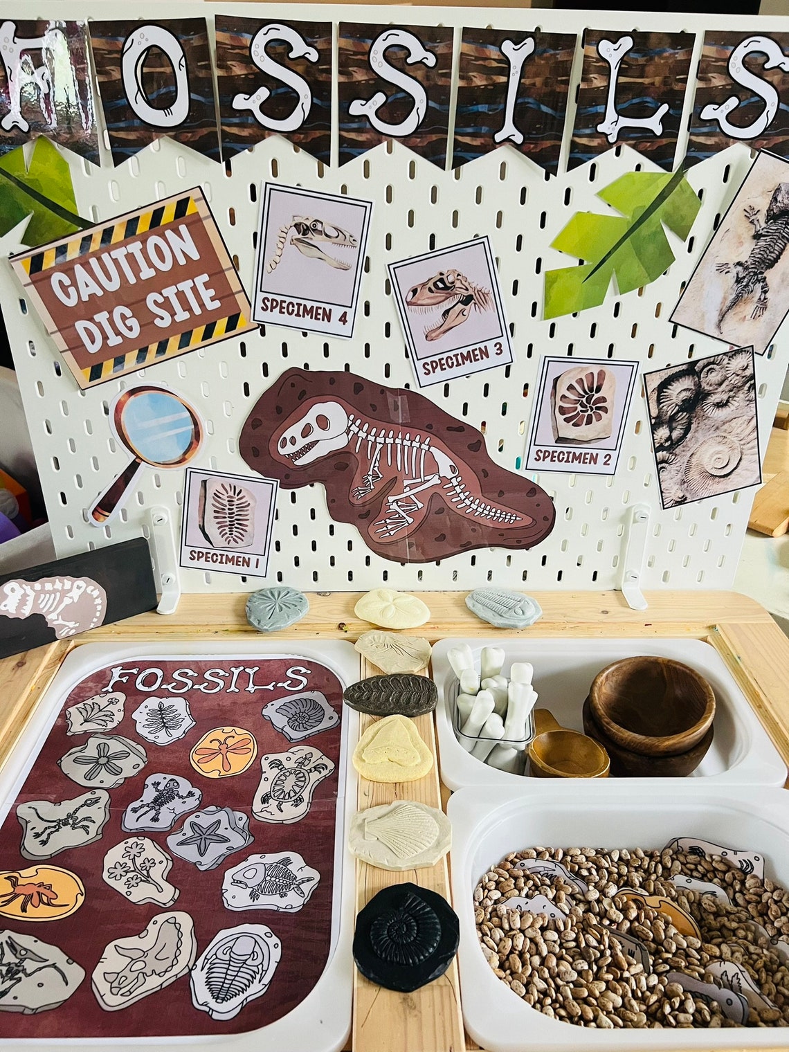 Fossils Peg Board, Fossils Posters, Fossils Preschool, Fossils Flisat ...