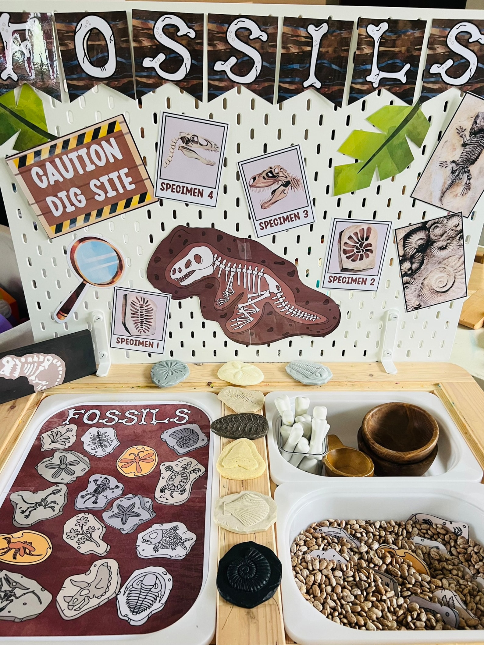 Fossils Peg Board, Fossils Posters, Fossils Preschool, Fossils Flisat ...
