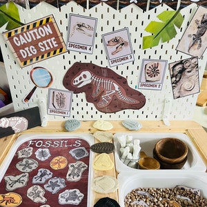 Fossils Peg Board, Fossils Posters, Fossils Preschool, Fossils Flisat ...