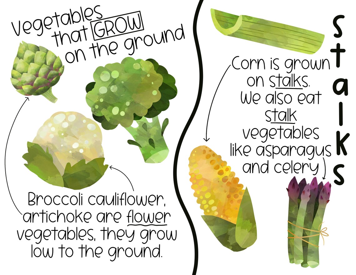 All About Fruits and Vegetables Preschool Curriculum - Etsy