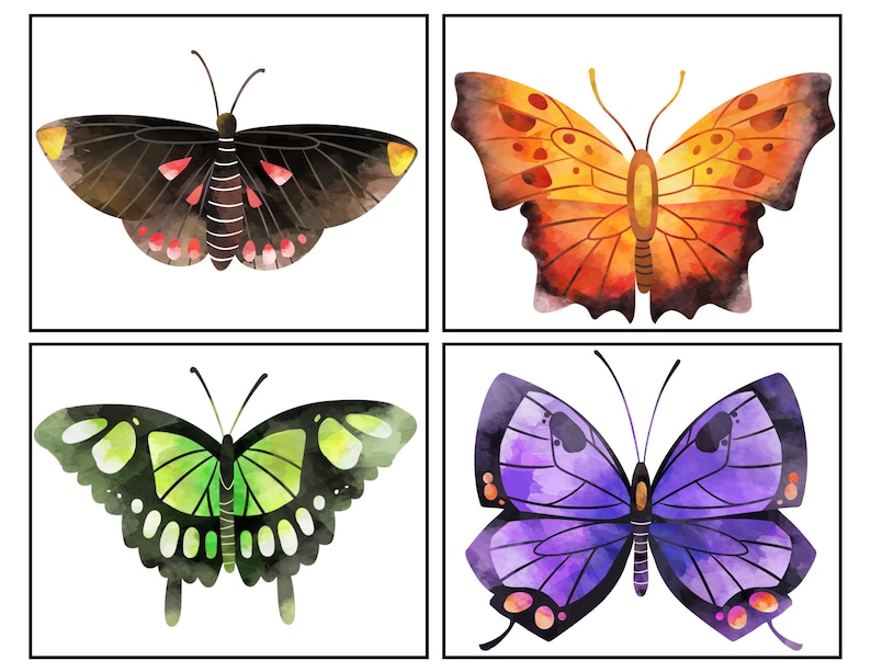 Butterfly Wing Match Preschool Printable Preschool Game | Etsy