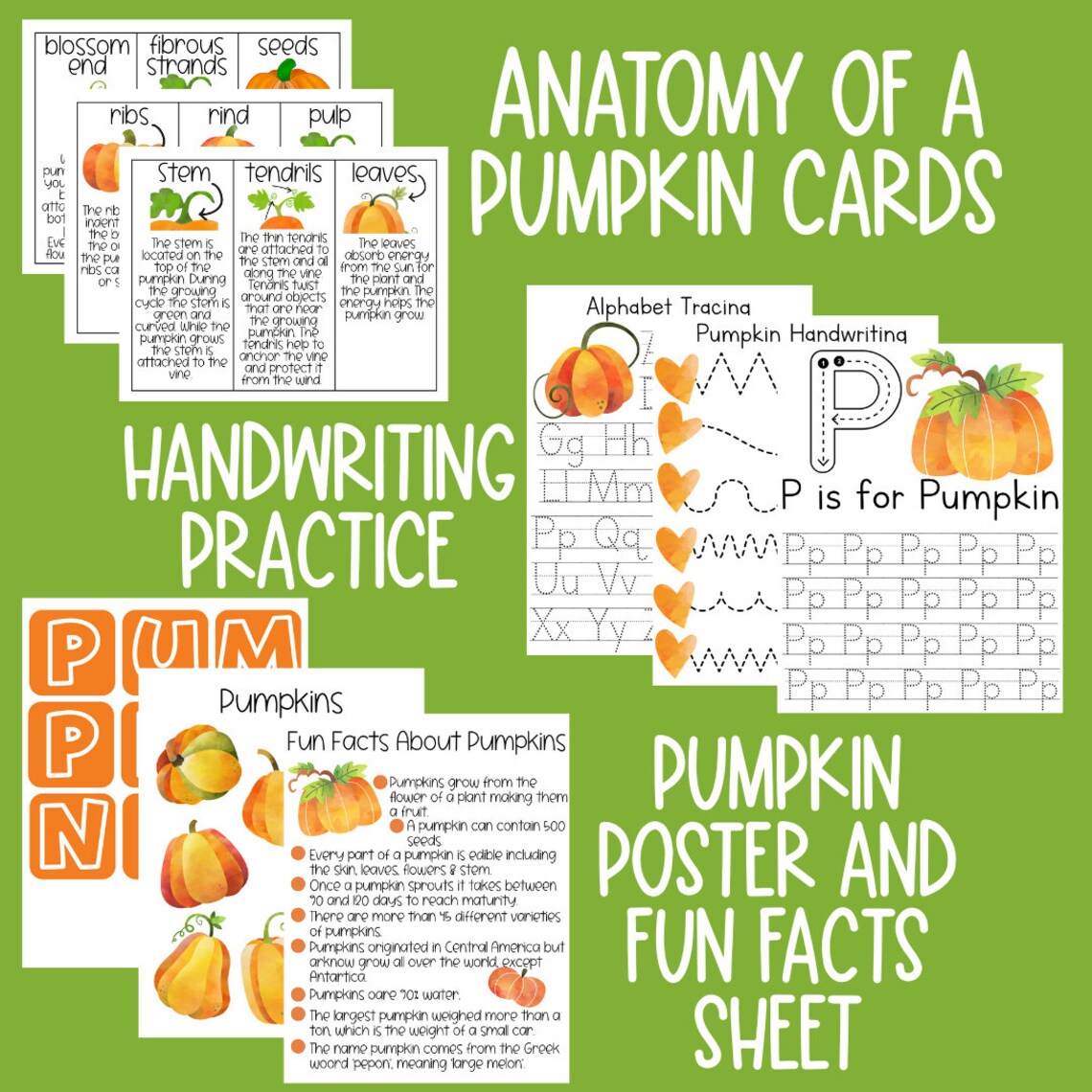 Pumpkin Unit Study Homeschool Learning Materials Educational Activities ...