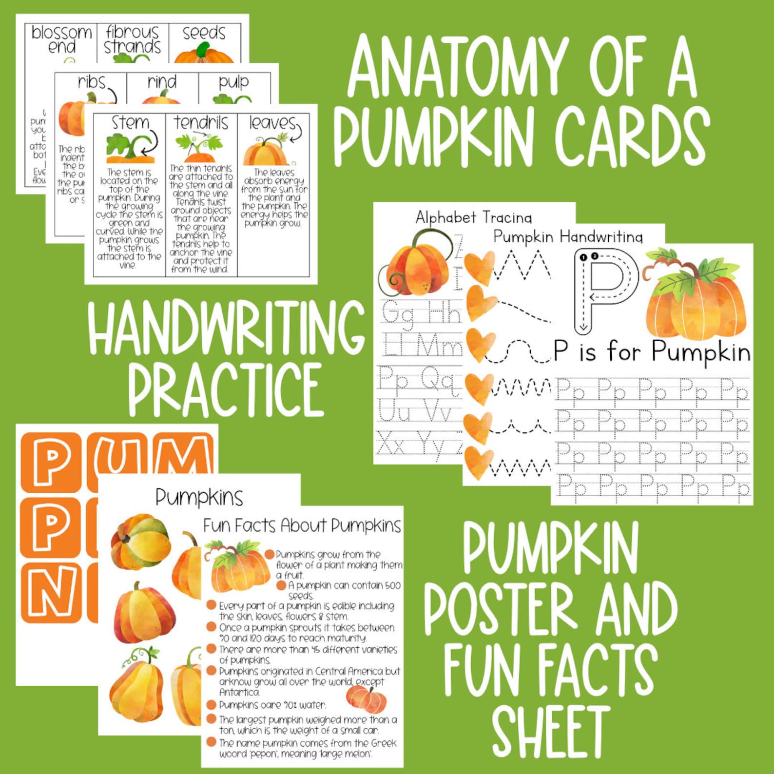 Pumpkin Unit Study Homeschool Learning Materials Educational Activities ...