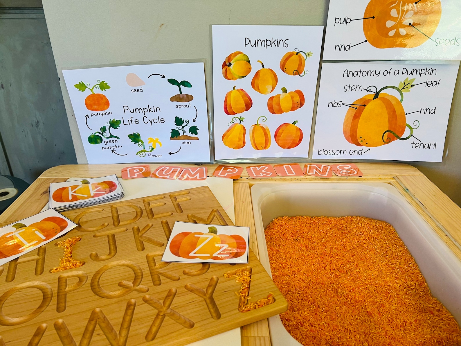 Pumpkin Unit Study Homeschool Learning Materials Educational - Etsy