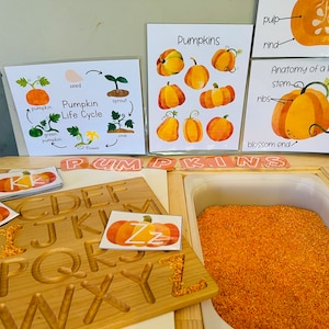 Pumpkin Unit Study Homeschool Learning Materials Educational Activities ...