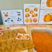 Pumpkin Unit Study Homeschool Learning Materials Educational Activities ...