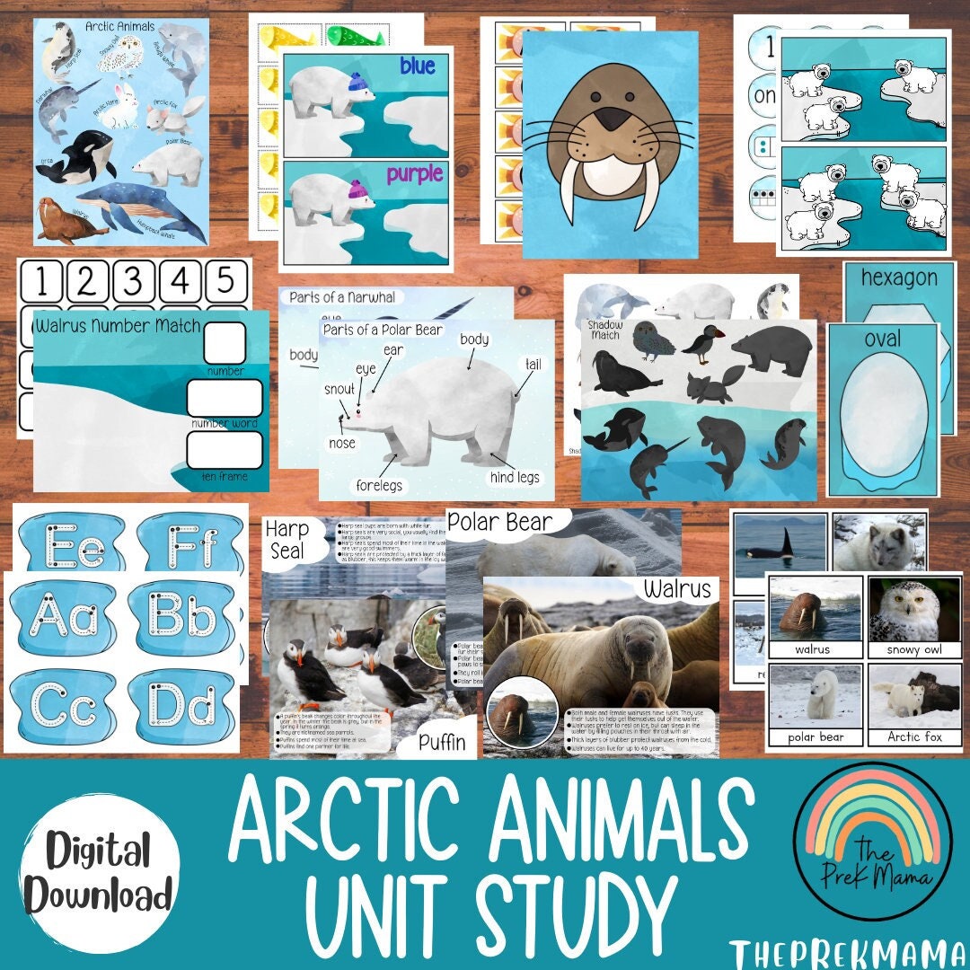 Arctic Animals Unit Study, Homeschool Learning Materials, Educational ...