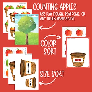 Apple Unit Study, Preschool Curriculum, Preschool Printable, Preschool ...