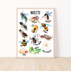 Insect Poster, Educational Poster, Weather Posters, Classroom Décor ...