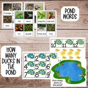 Pond Life Unit Study, Preschool Curriculum, Preschool Printable ...