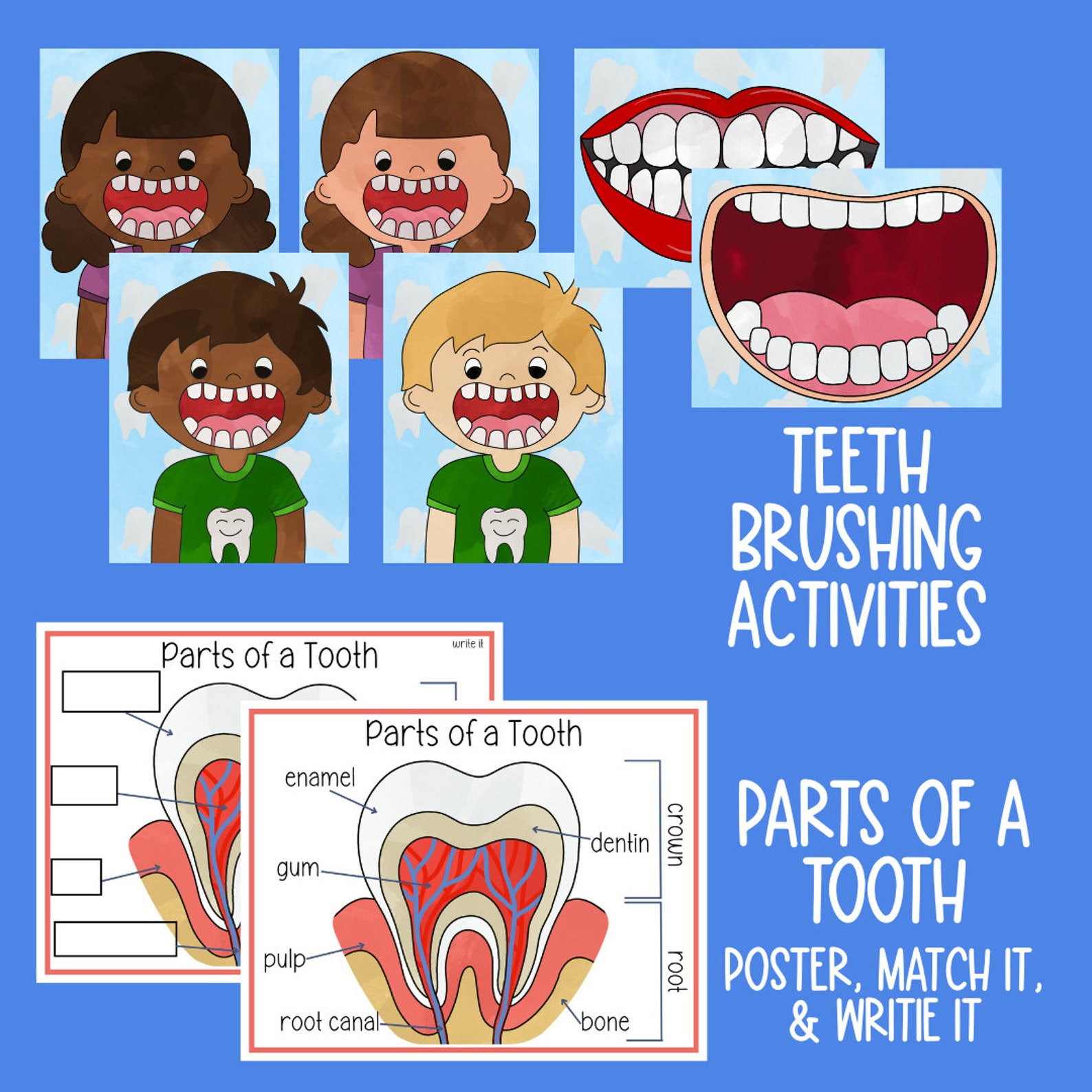 All About Teeth Unit Study, Preschool Curriculum, Preschool Printable ...
