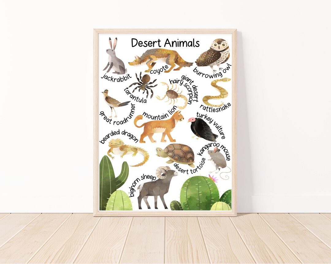 Desert Animal Poster, Educational Poster, Weather Posters, Classroom ...