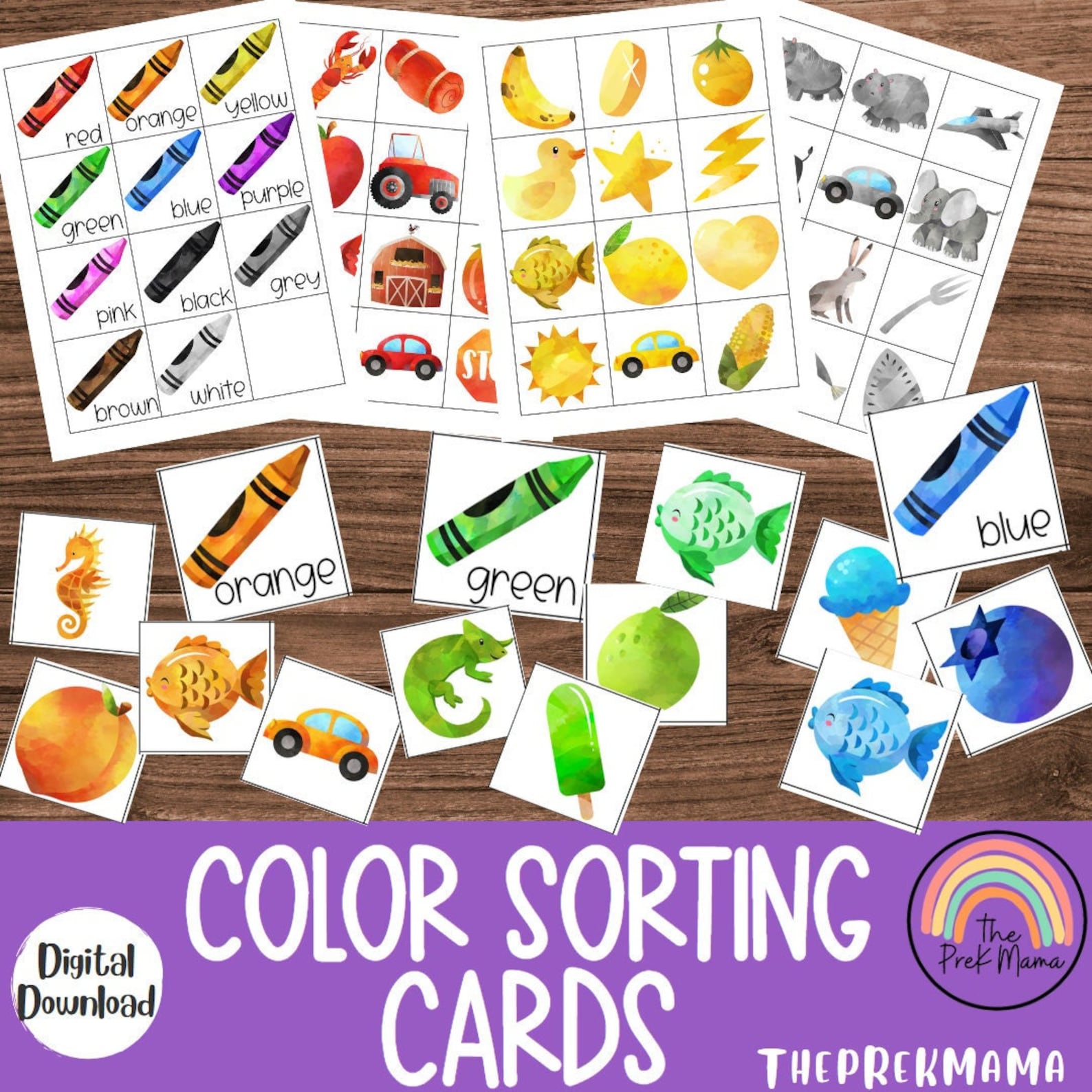Color Sorting Cards Preschool Worksheet Preschool Printable - Etsy