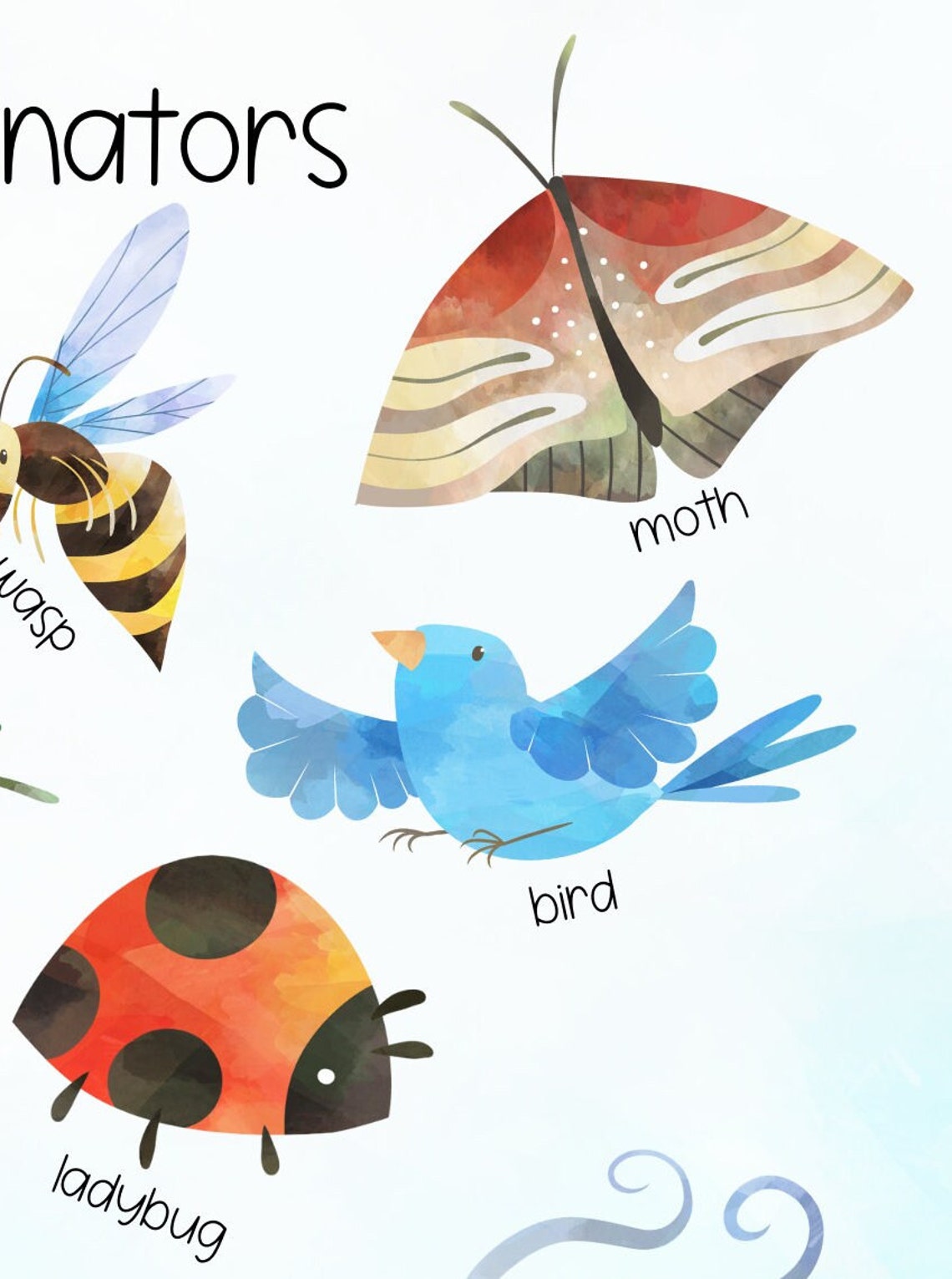 Pollinators Poster Preschool Curriculum Preschool Printable | Etsy