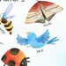 Pollinators Poster Preschool Curriculum Preschool Printable - Etsy