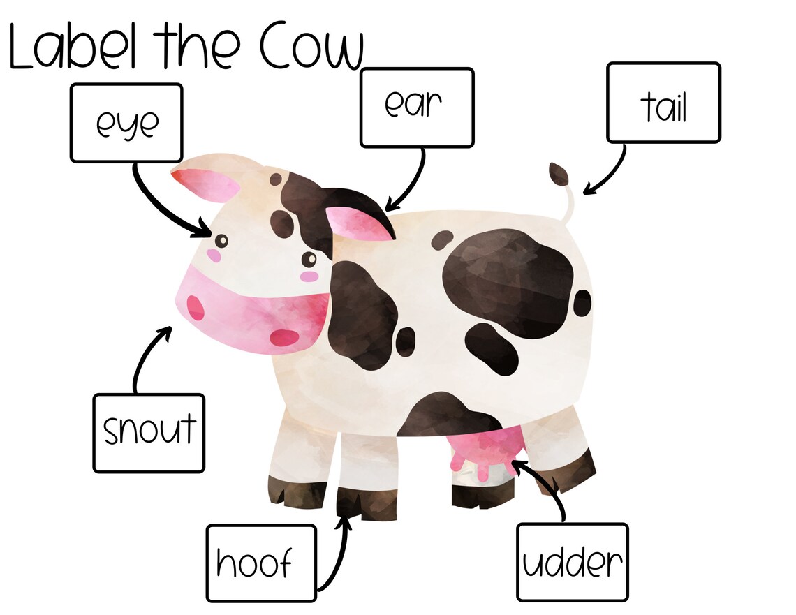 FARM Label the Animals Montessori Materials Preschool - Etsy