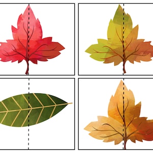 Matching Leaves, Fall Activity for Kids, Toddler Activity, Homeschool ...